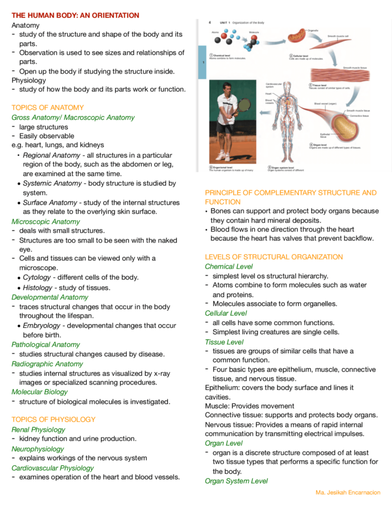 Free Anatomy And Physiology Notes Printable Worksheets Free Anatomy And Physiology Notes Printable Worksheets
