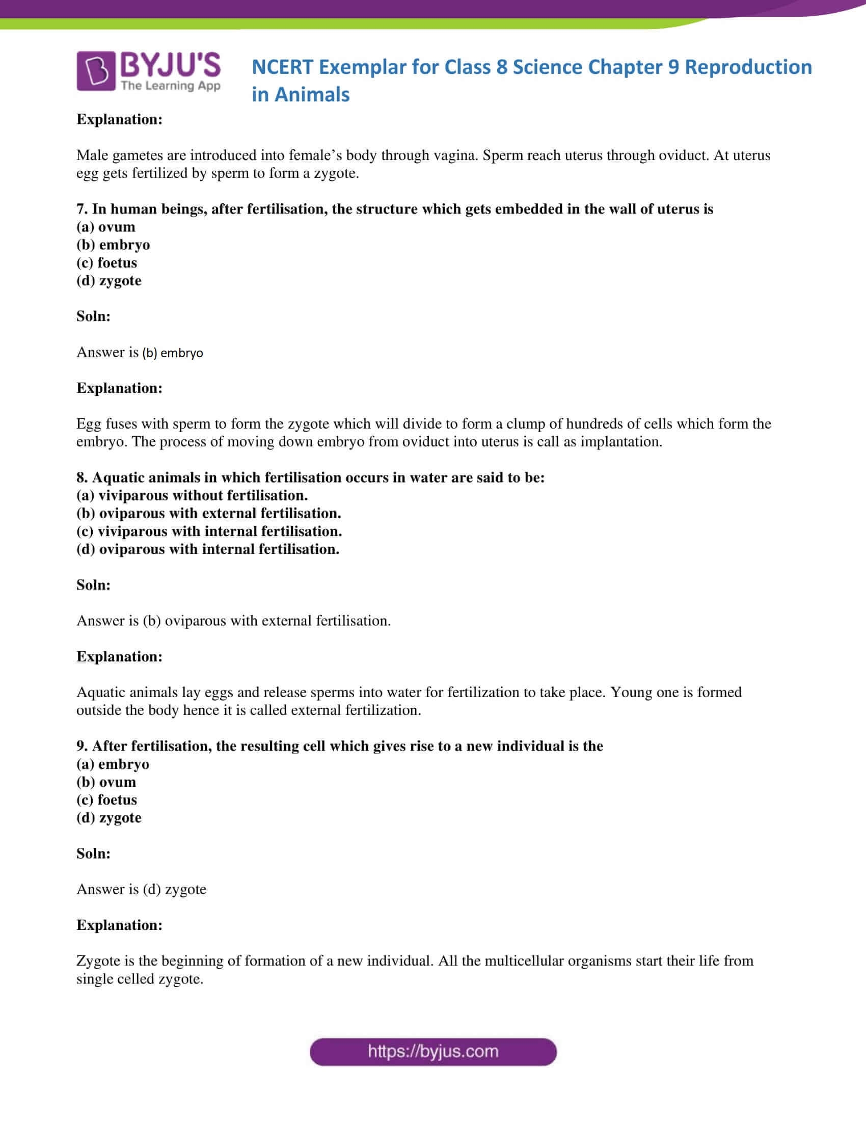 In The Womb Multiples Worksheets Answers Printable Worksheets