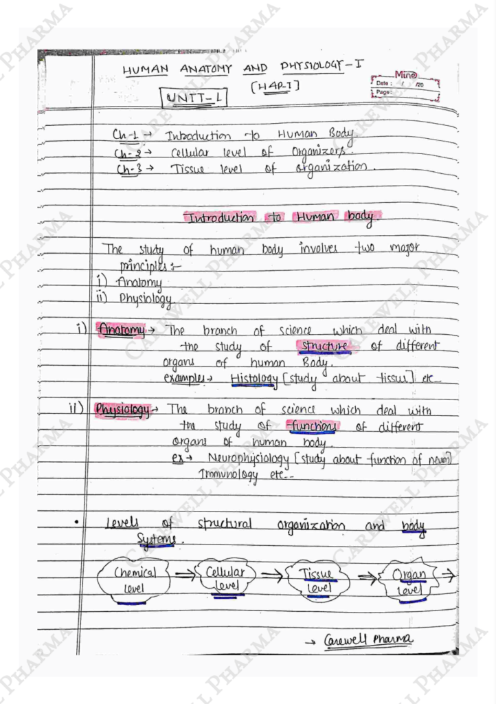Human Anatomy Notes Pdf Printable Worksheets