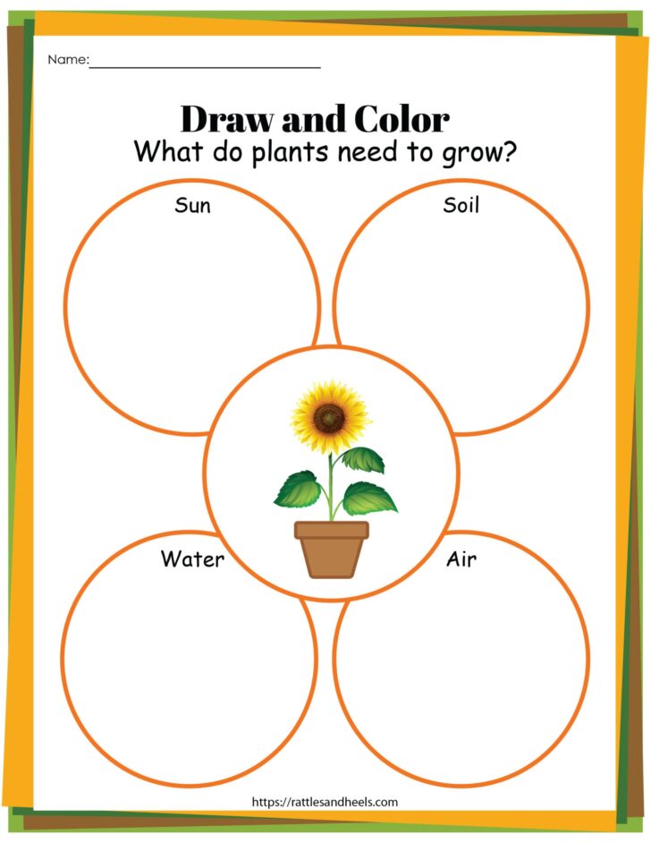 Life Cycle Of A Plant Activities For Preschoolers Printable Worksheets life-cycle-of-a-plant-activities-for-preschoolers-printable-worksheets