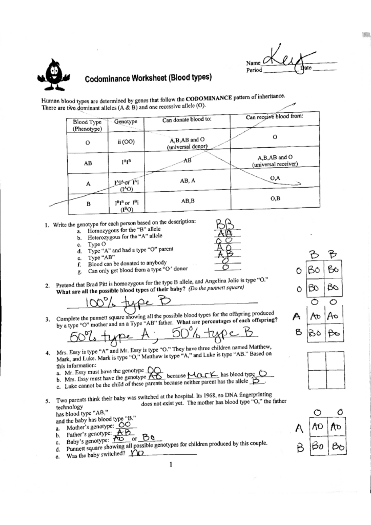 Blood Types Multiple Alleles And Codominance Worksheets Answers 