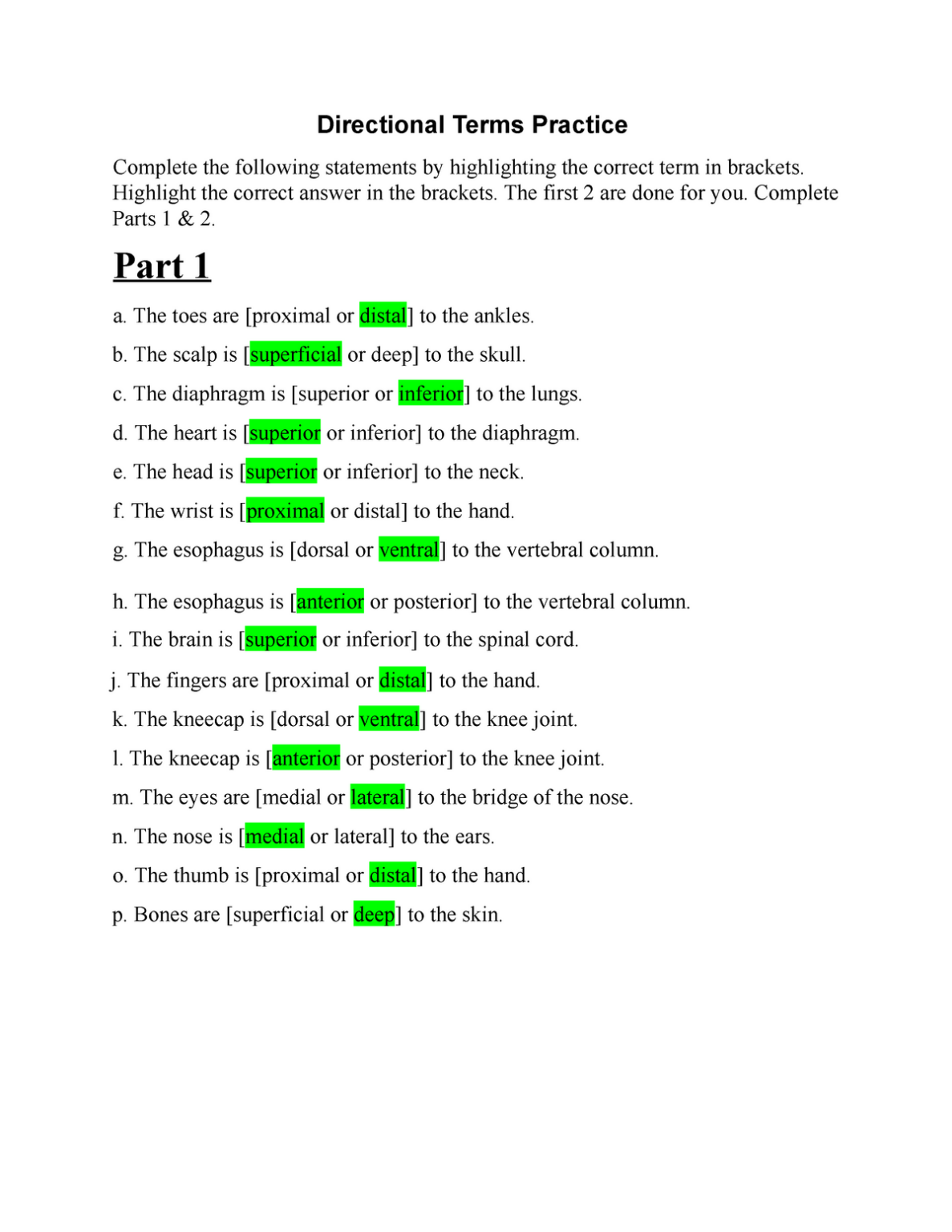 Directional Terms Worksheets Anatomy And Physiology Answers Printable