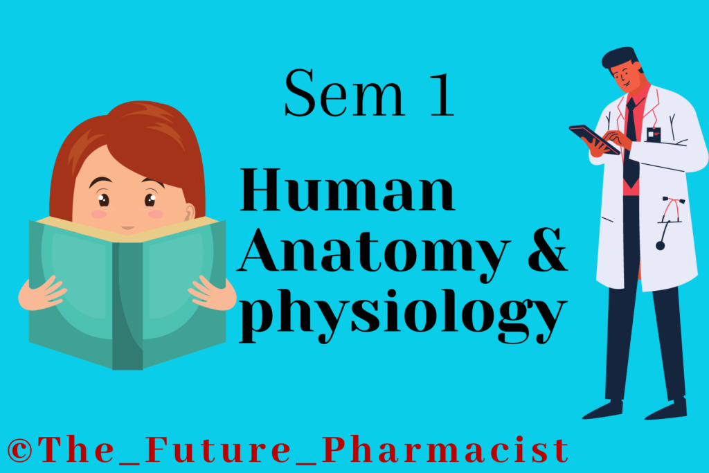 Human Anatomy Notes Pdf Printable Worksheets Human Anatomy Notes Pdf Printable Worksheets