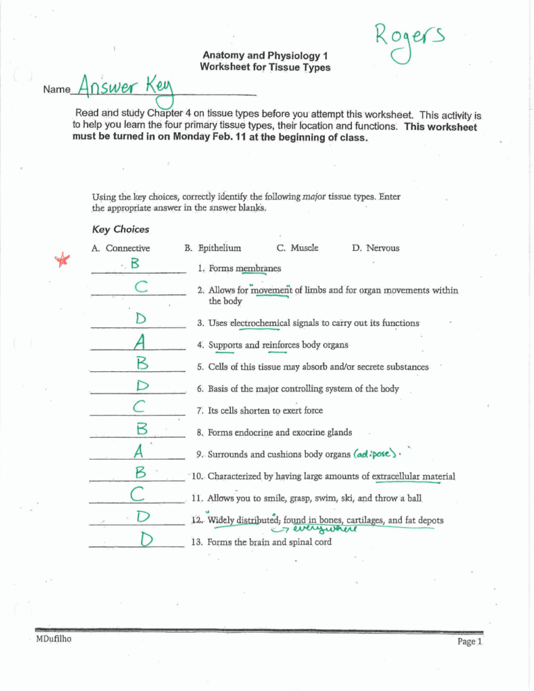 Anatomy And Physiology Connective Tissue Worksheets Answers Printable 